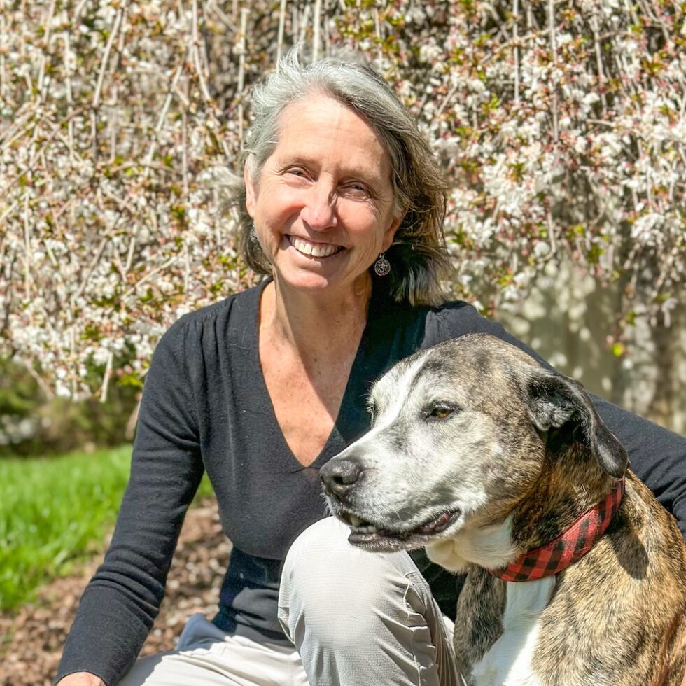 Best Veterinarian In Asheville, NC | Mills River Animal Clinic